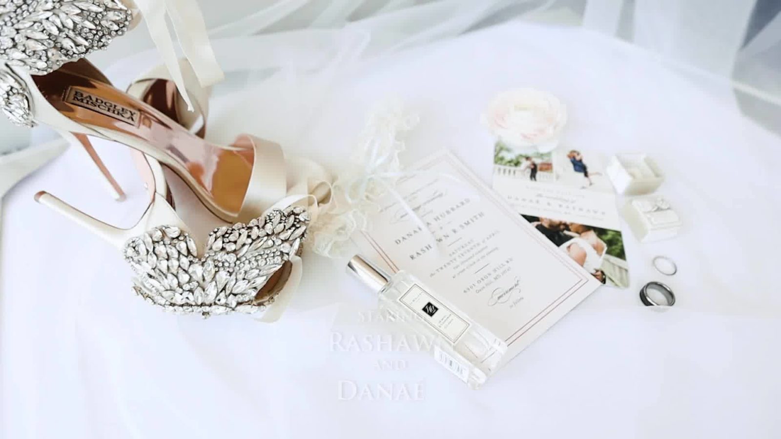 A Lifetime of Learning with Photographer Chip Dizárd - Showit